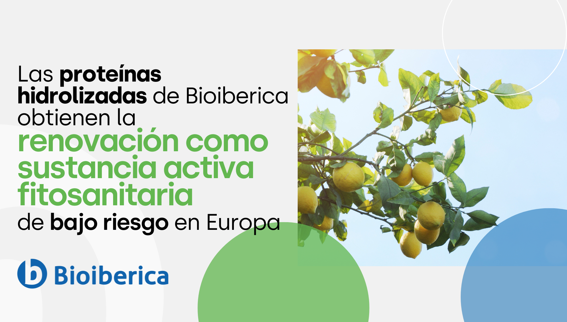 Las Proteínas Hidrolizadas de Bioiberica obtienen la renovación cómo ...