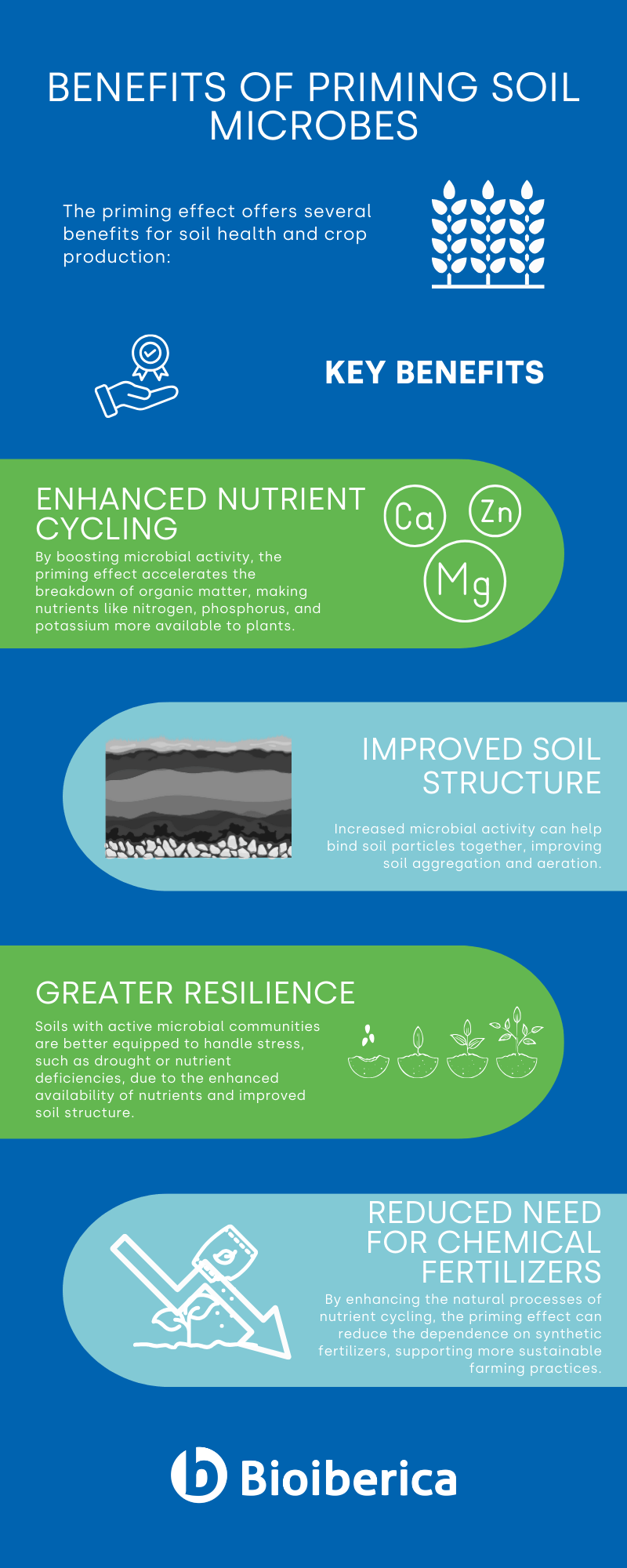 Priming the Soil: How Key Substances Boost Microbial Activity for ...