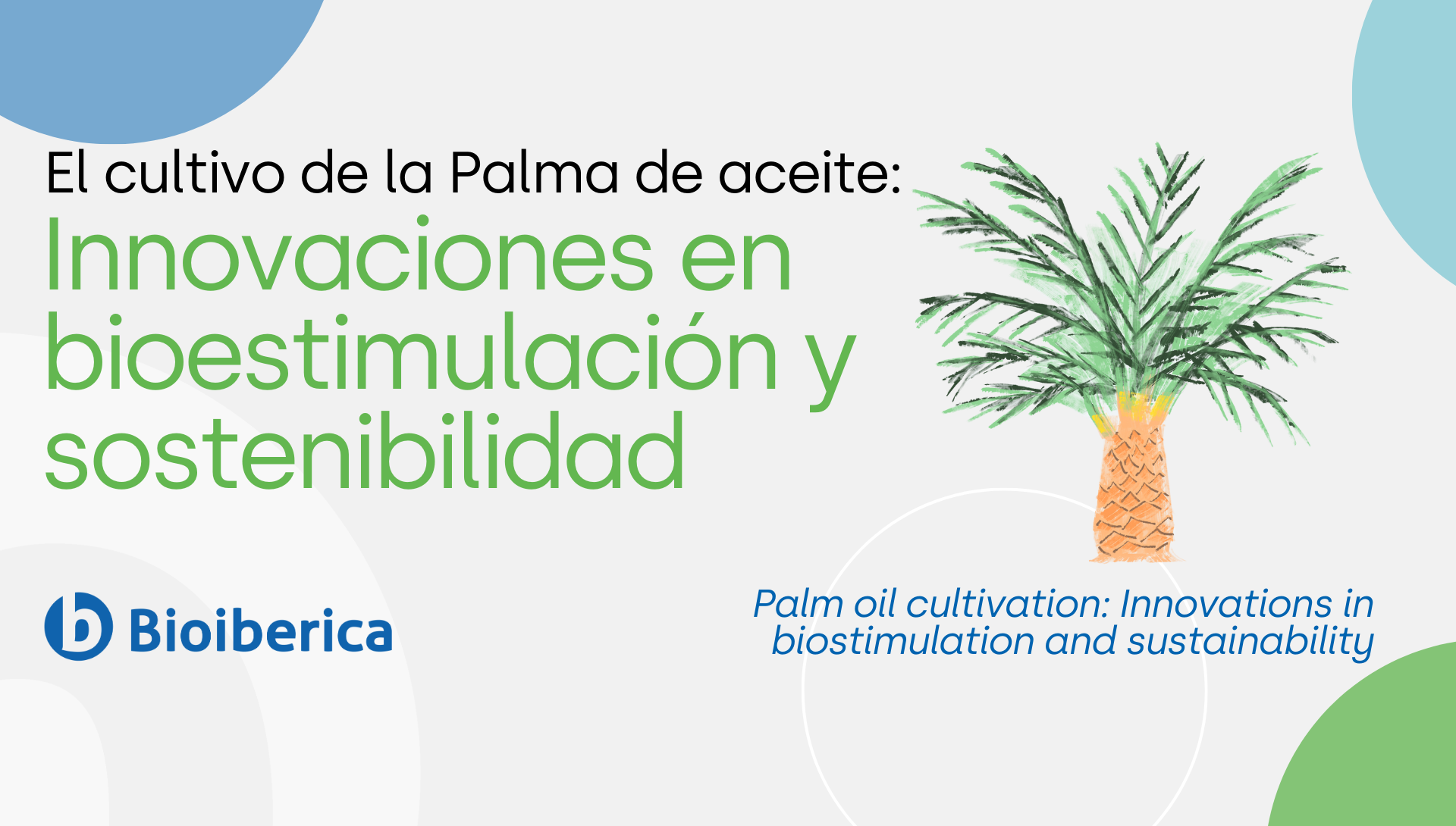 Oil palm crop cultivation: Innovations in biostimulation and sustainability