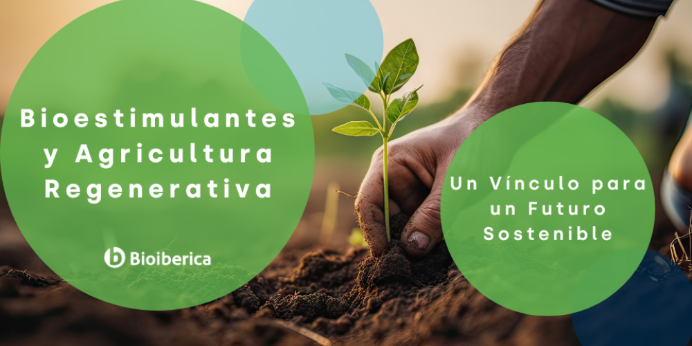 Bioestimulantes y Agricultura Regenerativa: Un Vínculo para un Futuro ...